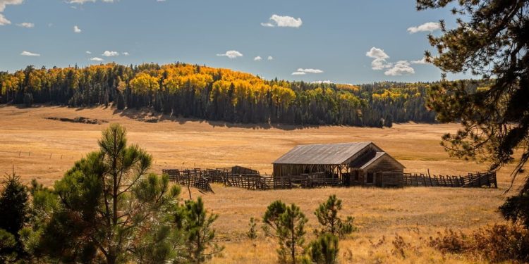 White Mountains of Eastern Arizona: A Haven of Adventure and Serenity ...